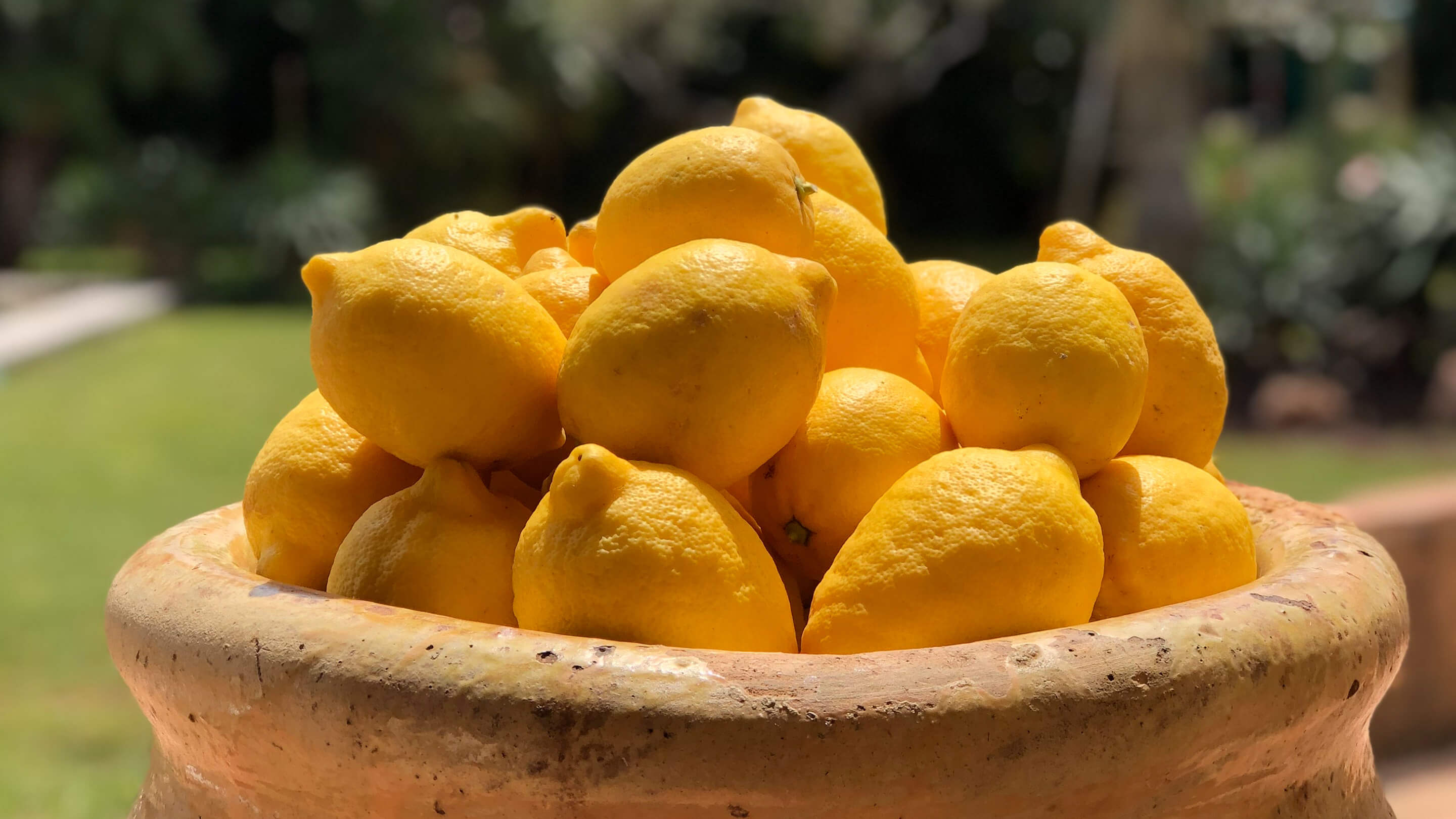 Our products – Lemon Story